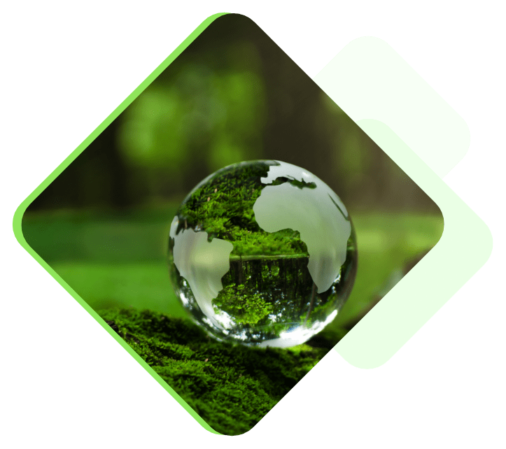 Our Commitment to Sustainability